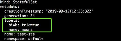 How To Use Patch To Add Multiple Data · Issue 760 · Kubernetes Client