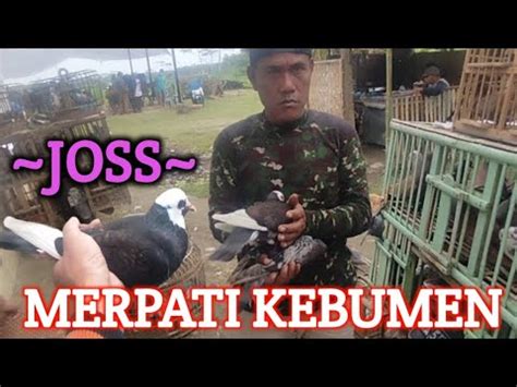 BLUSUKAN REVIEW MERPATI PASAR KEBUMEN YouTube