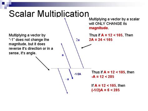 Vectors And Scalars AP Physics Scalar N N