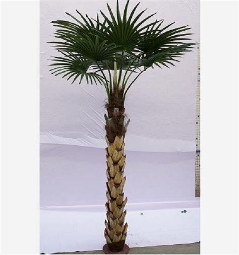 China Artificial Fan Palm Tree For Decoration Suppliers Manufacturers