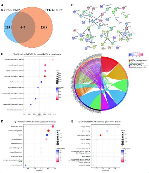 Degs Validation And Potential Pathway Enrichments Both In The Tcga Lihc