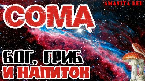 079 СОМА - Бог, Растение (Гриб) и Напиток. Три в Одном. - YouTube