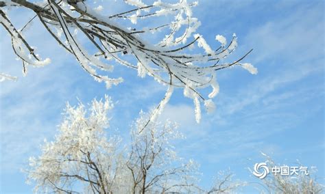 新疆阿勒泰出现雾凇 犹如冰雪的童话世界 高清图集 中国天气网新疆站