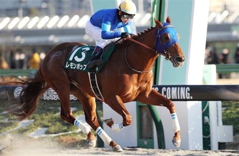 2024サウジカップ Jra Van World 海外競馬情報サイト