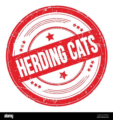 Herding Cats Hi Res Stock Photography And Images Alamy