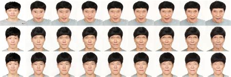 GitHub KAIST16 Ryu CS470 K SAM Face Aging Model With AI HUB S Korean