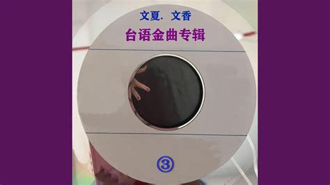 悲恋的酒杯 Youtube