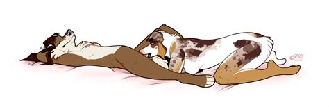 Rule 34 2d 2girls Anthro Australian Shepherd Breasts Canid Canine