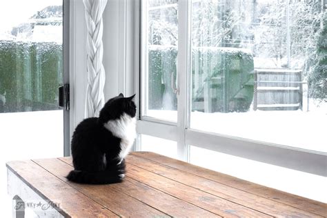 DIY Window Screen Repair Easy And Inexpensive Funky Junk Interiors