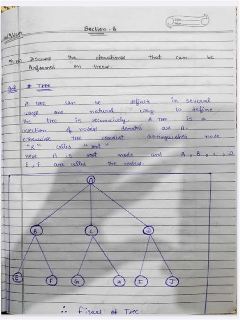 Data Structure Section B Pdf