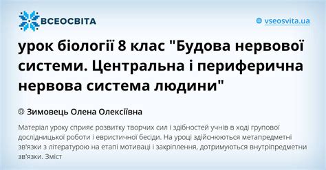 урок біології 8 клас Будова нервової системи Центральна і периферична нервова система людини