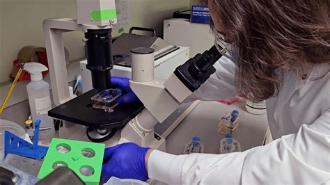 Vidéo Mapping The Cellular Distribution Of An Optogenetic Protein Using A Light Stimulation Grid
