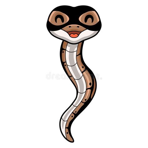Cute Ball Python Stock Illustrations 820 Cute Ball Python Stock Illustrations Vectors