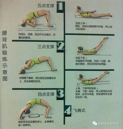 锻炼腰肌的动作腰肌锻炼动作锻炼腰大肌五大动作大山谷图库