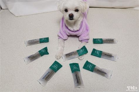 강아지 치석제거 덴탈껌 닥터맘마 덴스틱 네이버 블로그