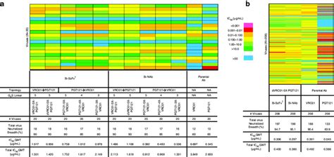 Neutralization Breadth And Potency Of Bispecific Antibodies A
