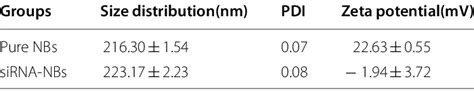 Characterization Of The Different Formulations Of Nbs Download