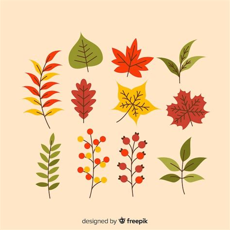 Página 54 Imágenes De Dibujo Hojas De Arbol Descarga Gratuita En