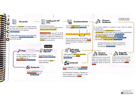 Esquema Juicio Oral Pdf