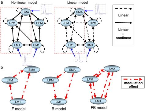 model specifications of forward f backward b and forward backward