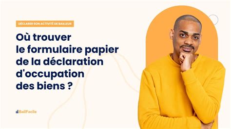 Déclaration Doccupation Des Biens Version Papier 2024
