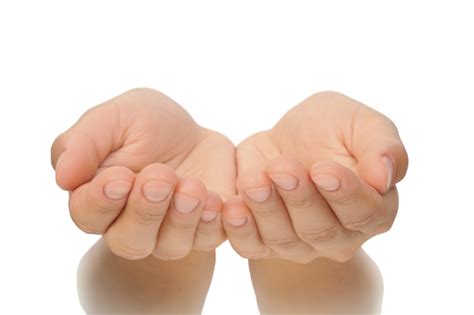 The Future Of The Profession Is In Your Hands Chiropractic Economics