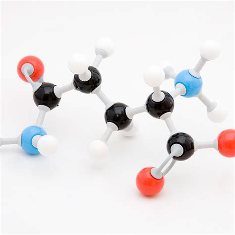 Types of Amino Acids | NOW Foods