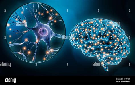 Human Brain Neuronal Stimulation Or Activity With The Close Up Of A Neuron Cell 3d Rendering