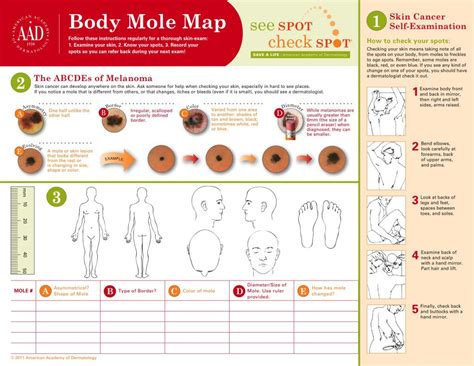 Detect Skin Cancer Body Mole Map Fillable Online Detect Skin Cancer