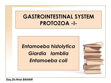 Ppt Gastrointestinal System Protozoa I Powerpoint Presentation