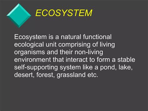 Ecology Ppt