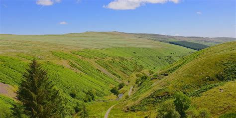 The Devolution Of Humanity Into Civilisation By Maheesha