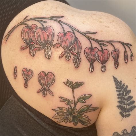 Bleeding Heart Vine Tattoo Bleeding Heart Vine Tattoo