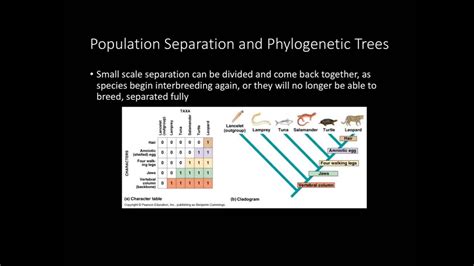 11 Ap Environmental Science Chapter 3 Saeltoviel
