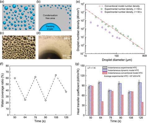 Conventional And Dynamic Condensation Models For Droplet Shedding The Download Scientific