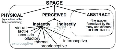 Tree Diagram Of The Explicit Categorisation Of The Term Space In