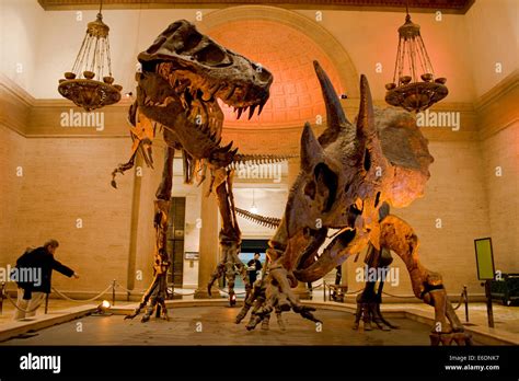 Natural History Museum Exposition Park Los Angeles California Stock