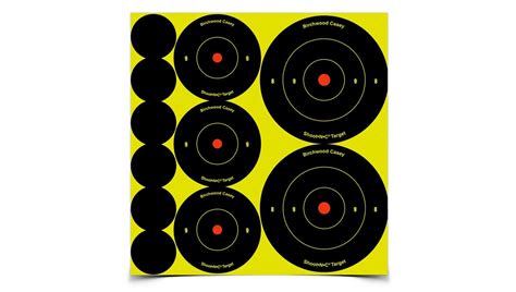 Birchwood Casey Shoot N C Variety Pack Reactive Targets