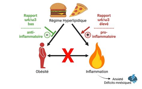 Balancing Omega 6 And Omega 3 Fatty Acids Impact On Obesity And