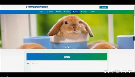 开题报告 Python计算机毕业设计宠物领养管理系统附源码 知乎