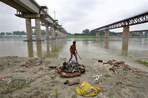 Photos Show Covid Victims Floating Along Ganges In India
