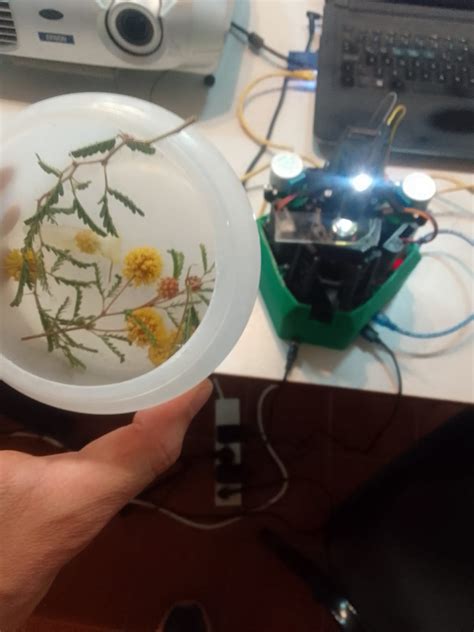 Pollen Microscopy Applications OpenFlexure Forum