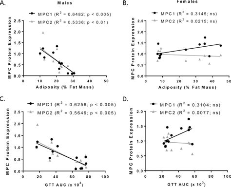 Mitochondrial Pyruvate Carriers Are Not Required For Adipogenesis But
