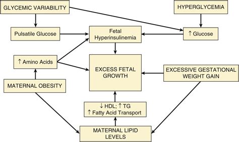 Maternal Nutrition And Fetalinfant Development Clinics In Perinatology