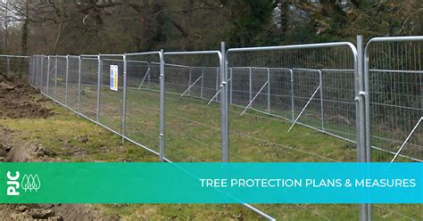 Tree Protection Plans Measures Protect Trees During Construction