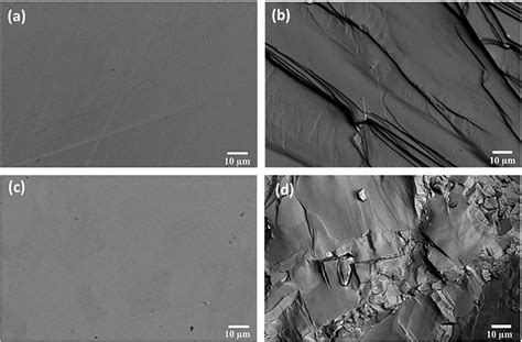 Scanning Electron Micrographs Of Representative Sample Download