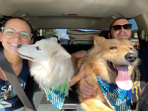 20 Mascotas a las que el rostro y el corazón se les llenaron de