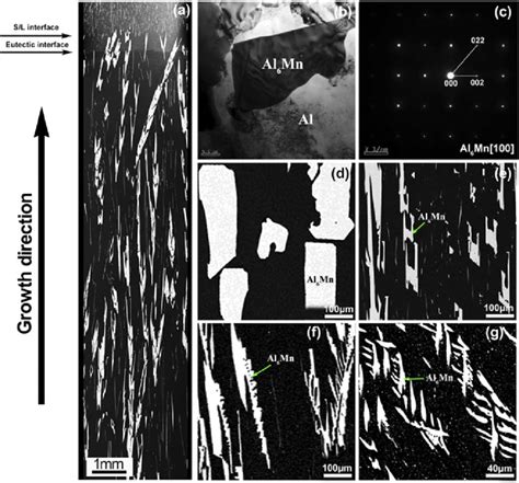 A Shows The Structure Of Directionally Solidified Al 3 At Mn Alloy