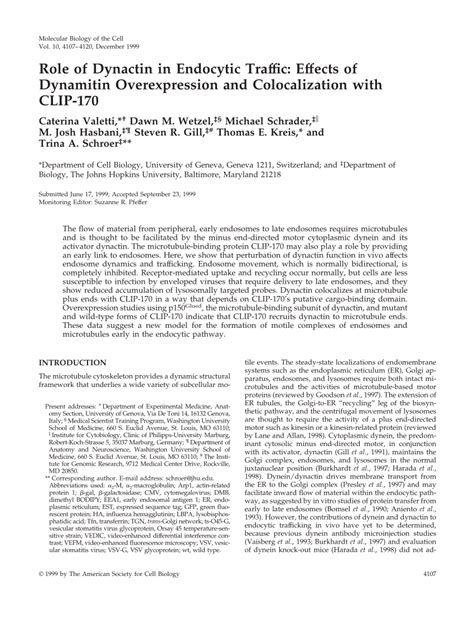 Pdf Role Of Dynactin In Endocytic Traffic Effects Of Dynamitin