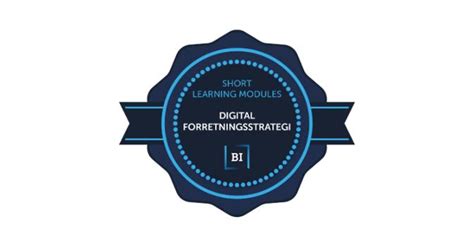 Digital Forretningsstrategi • Tonje Johannessen Skålnes • Bi Norwegian